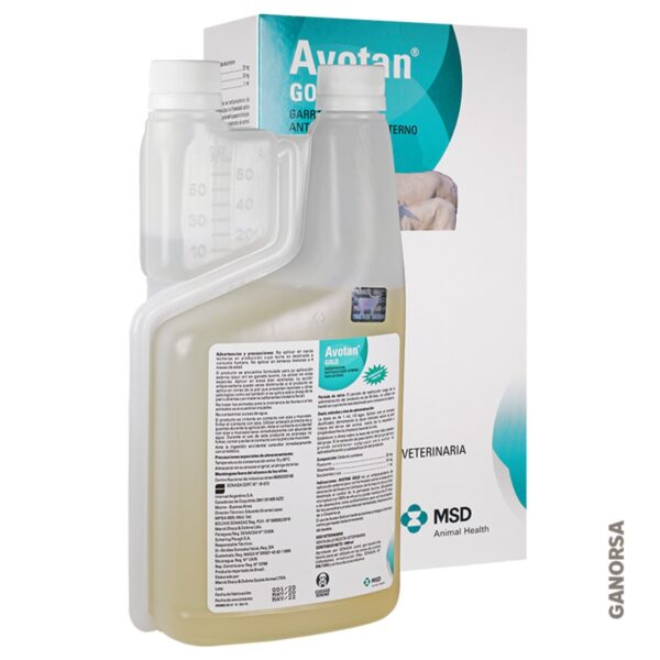 AVOTAN GOLD | MAS CAMPO
